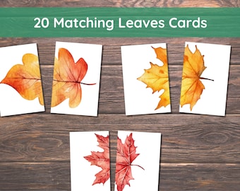 Matching Leaves, Fall Activity for Kids, Toddler Activity, Homeschool ...