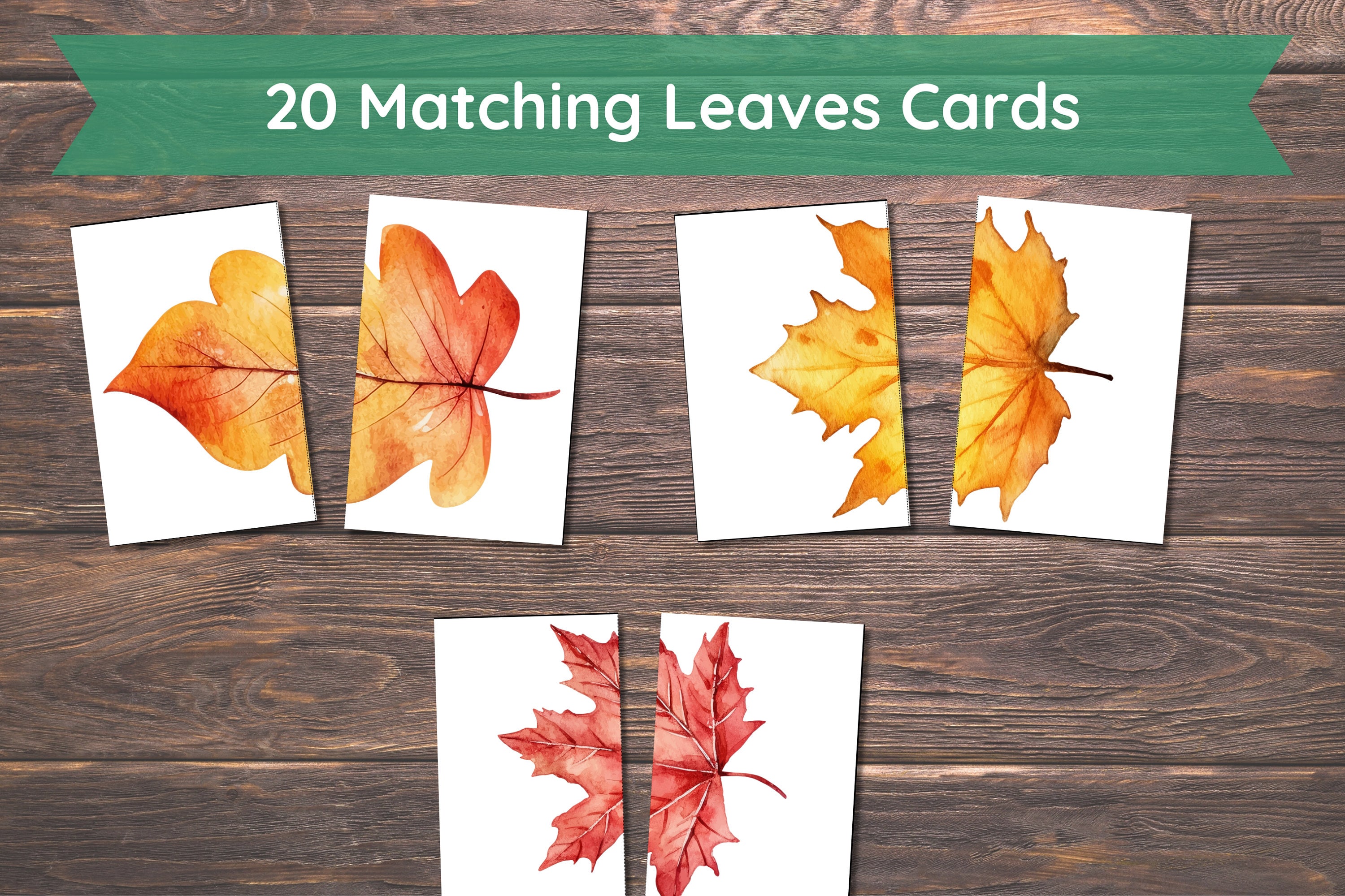 Matching Leaves 20 Cardsfall Activity for Kids Toddler - Etsy
