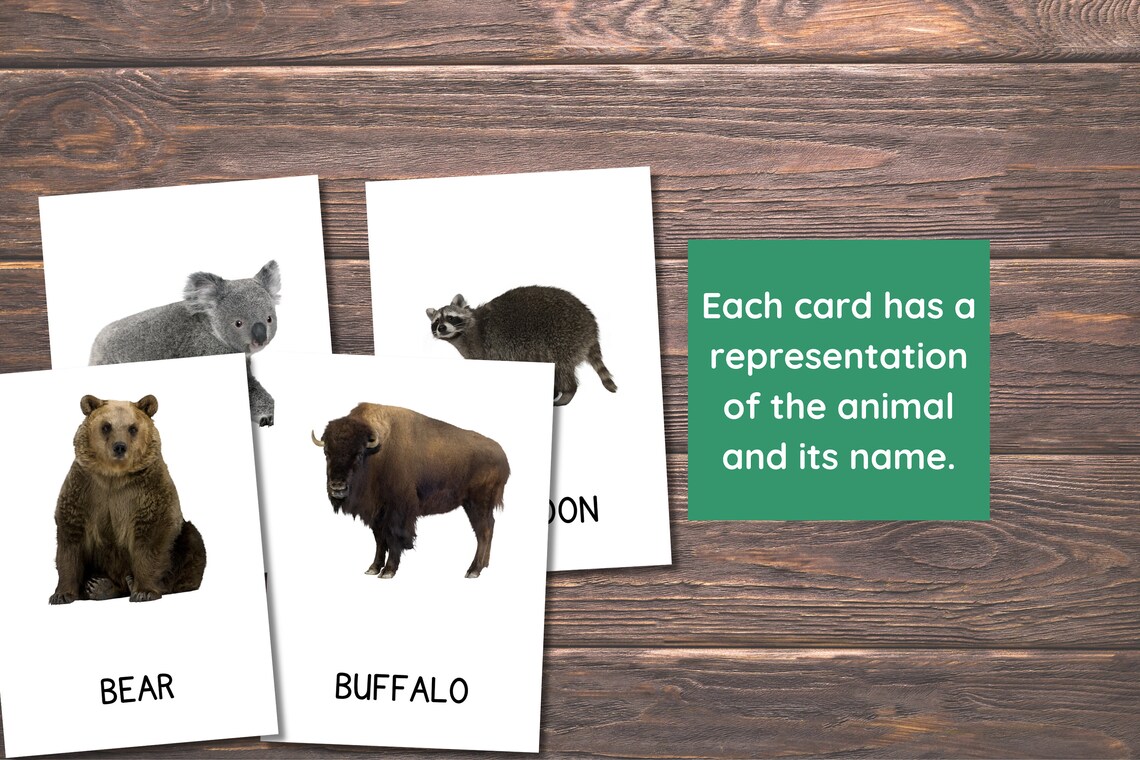 22 Forest Animals Cards, Forest Animals Cards for Toddlers, Montessori ...