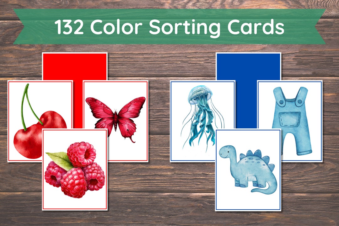 Montessori Color Sorting Printable Cards: Toddler's 11-color ...