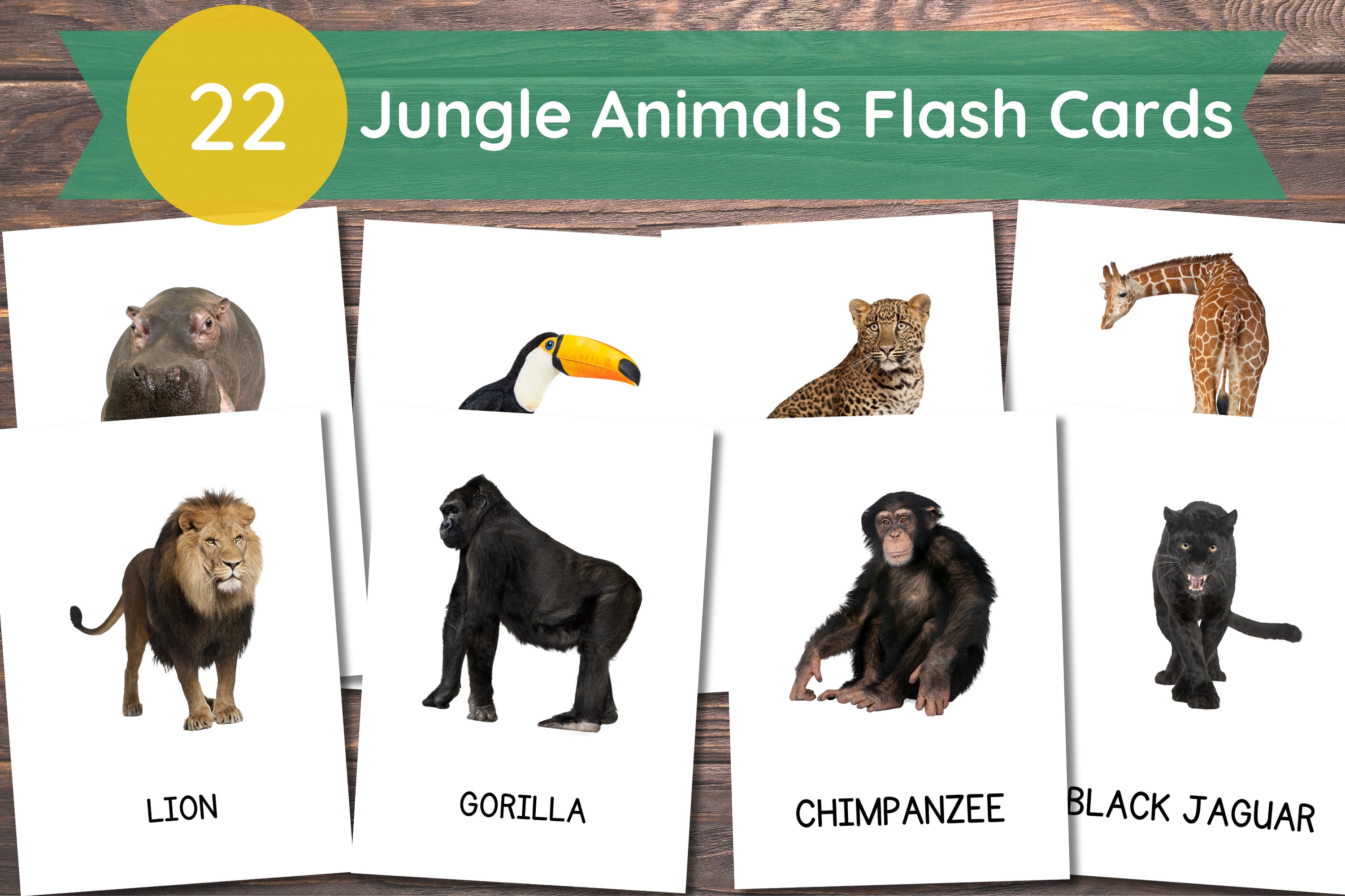 22 Jungle Animals Cards Jungle Animals Cards for Toddlers - Etsy