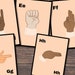 ASL (american Sign Language) Alphabet Posters & Flashcards | ASL ...