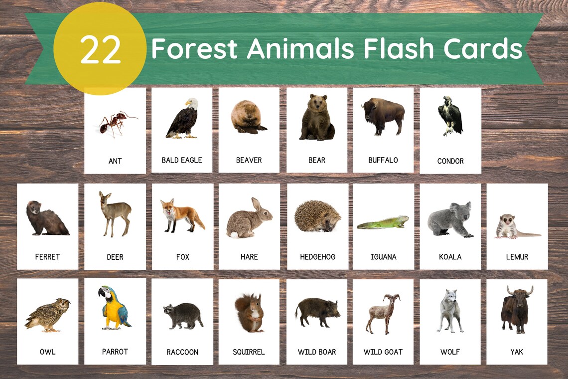 22 Forest Animals Cards, Forest Animals Cards for Toddlers, Montessori ...