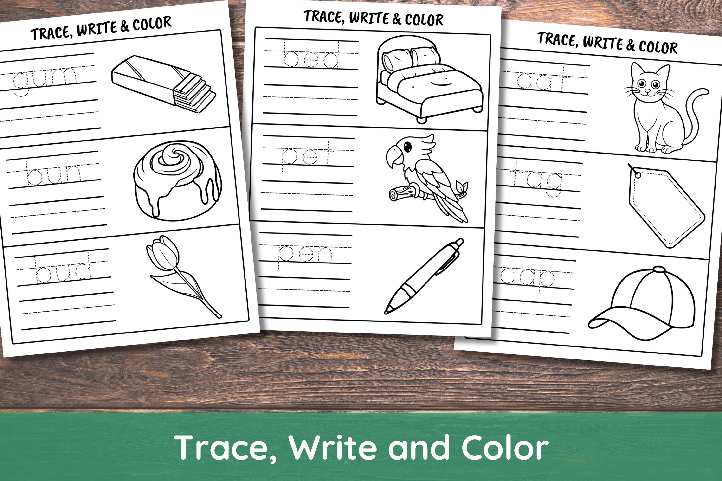 CVC Words Worksheets, CVC Word Families Phonics Worksheets ...