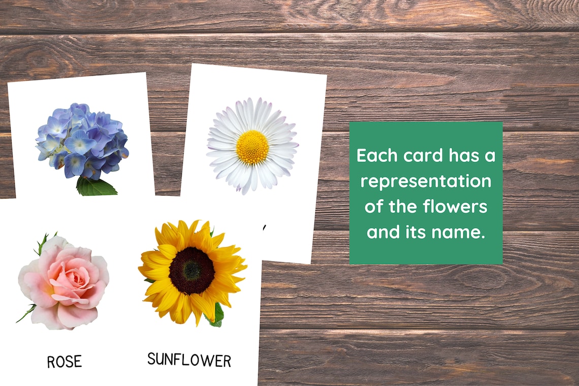 48 Flowers Cards, Flowers Flashcards, Printable Real Pictures ...