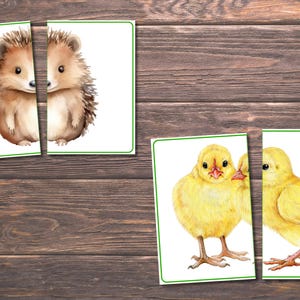 Spring Matching Toddler Activity, Spring Matching, Montessori ...