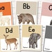 Classroom Alphabet Posters Animal Alphabet Boho Rainbow - Etsy
