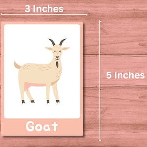 20 Farm Animals Cards, Montessori Flash Cards, Pre-school Cards ...