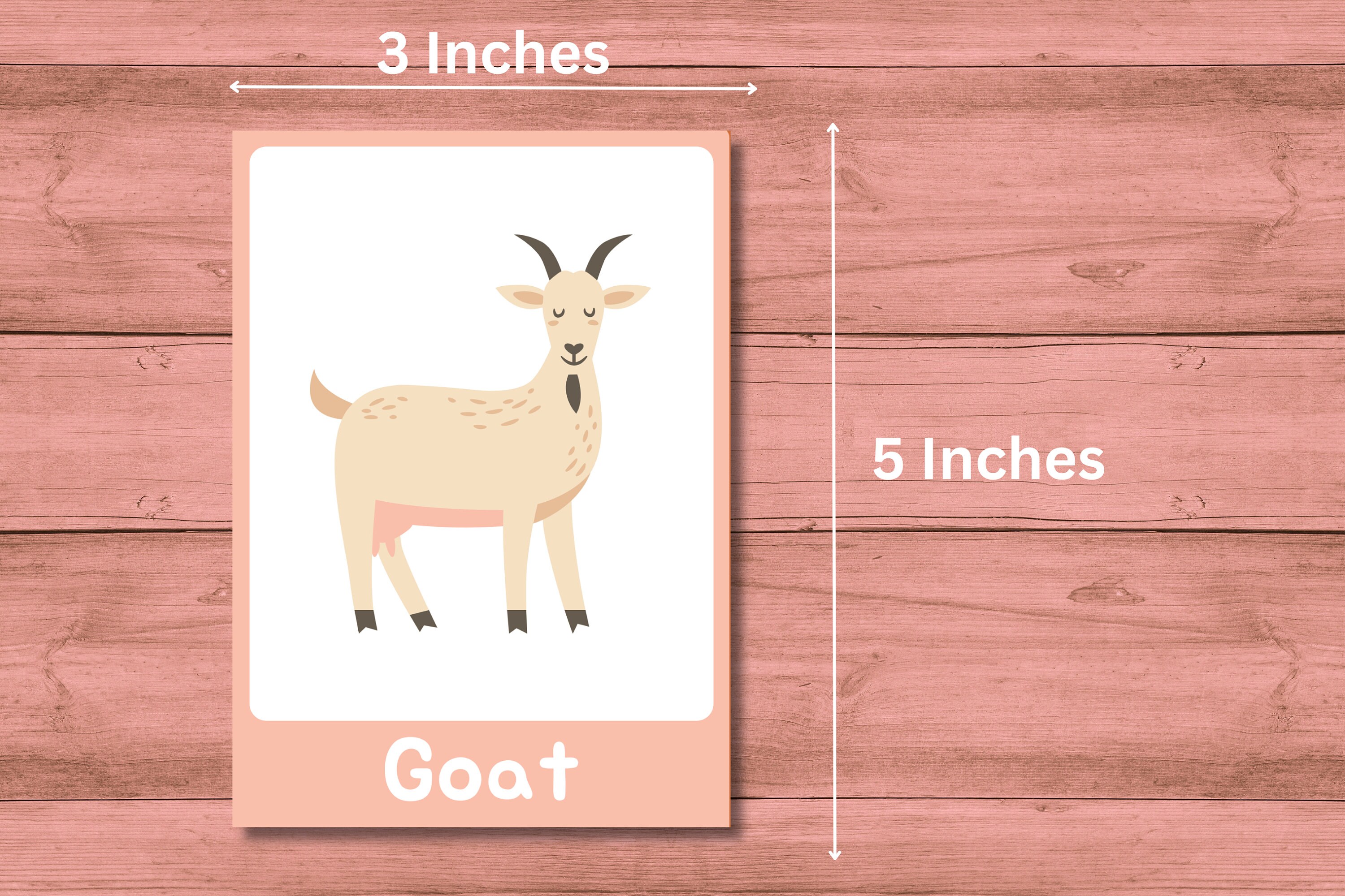 20 Farm Animals Cards, Montessori Flash Cards, Pre-school Cards ...