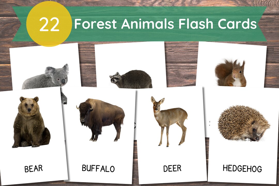 22 Forest Animals Cards, Forest Animals Cards for Toddlers, Montessori ...