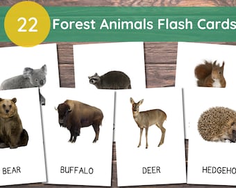 22 Forest Animals Cards, Forest Animals Cards for Toddlers, Montessori ...