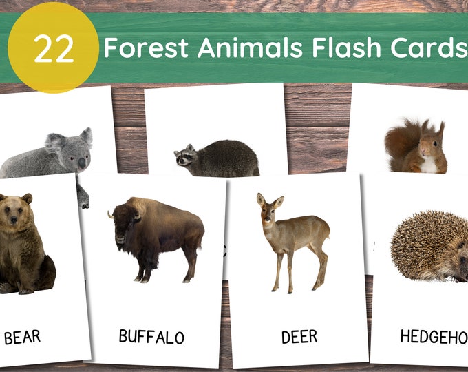 22 Forest Animals Cards, Forest Animals Cards for Toddlers, Montessori ...
