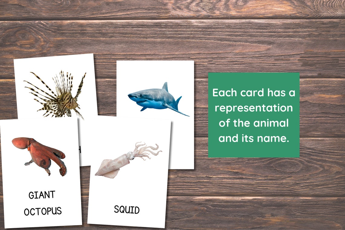22 Ocean Animals Cards, Ocean Animals Cards for Toddlers, Montessori ...
