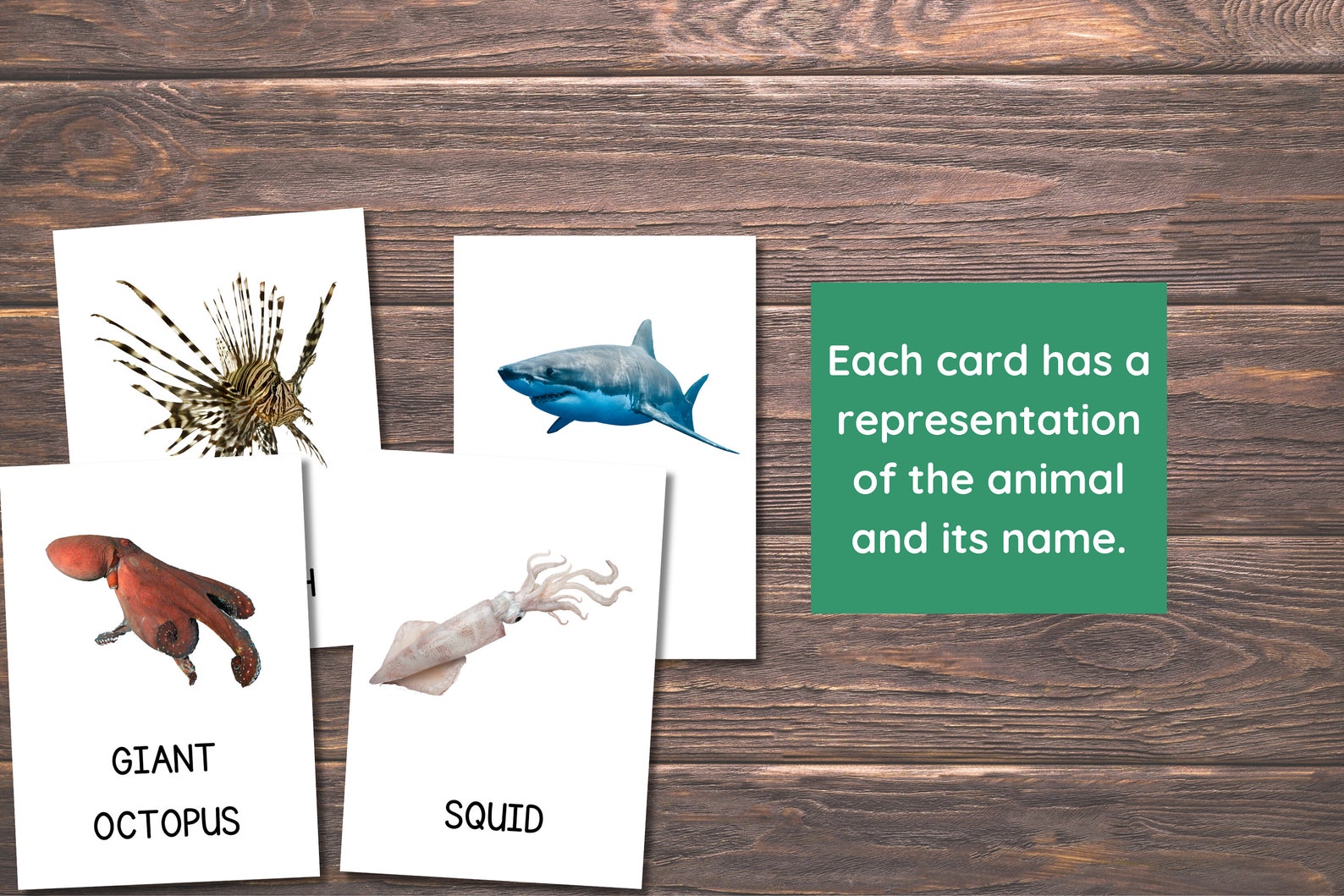 22 Ocean Animals Cards, Ocean Animals Cards for Toddlers, Montessori ...