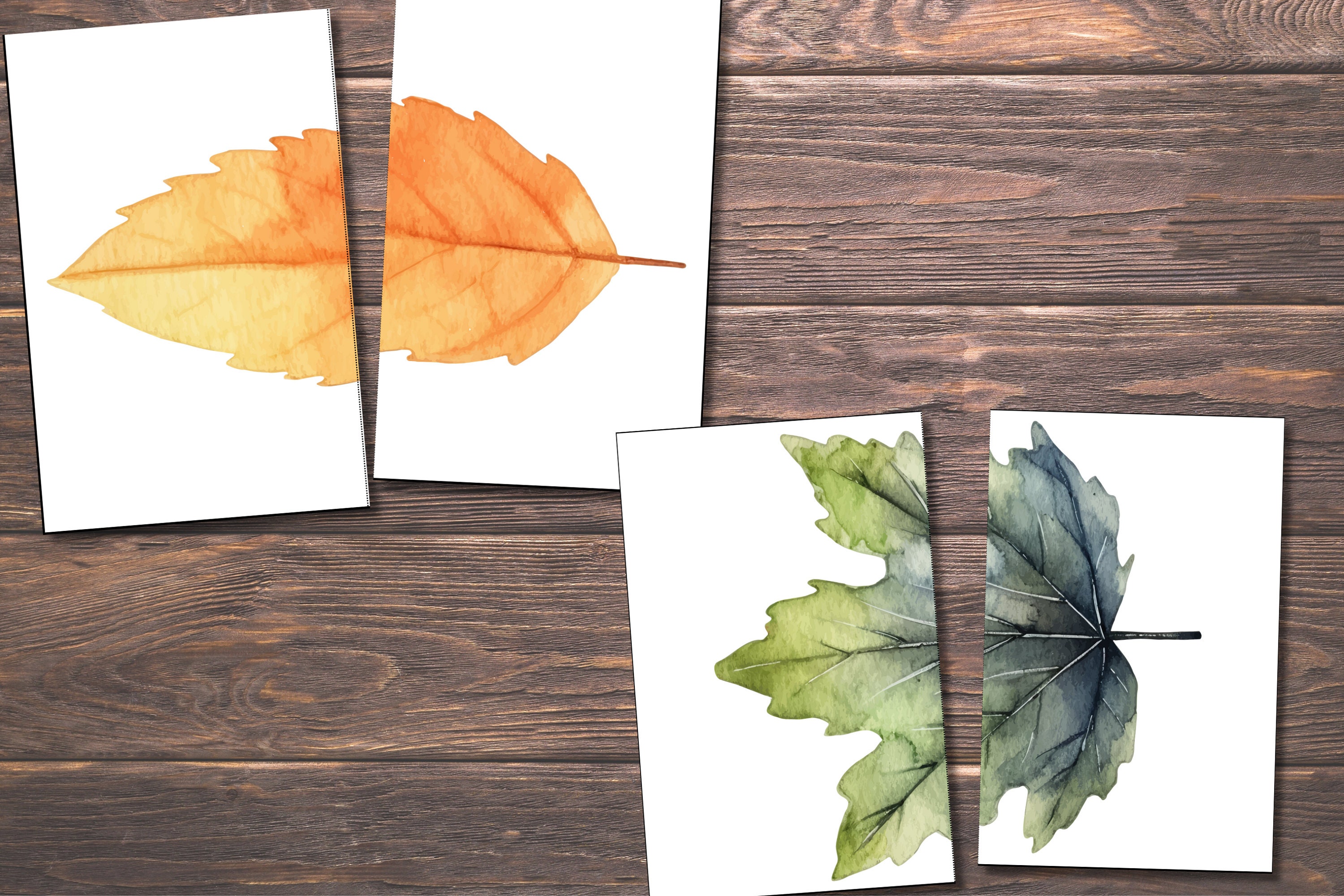 Matching Leaves 20 Cardsfall Activity for Kids Toddler - Etsy
