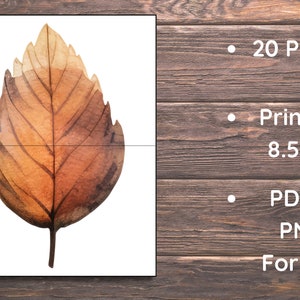 Matching Leaves, 20 Cards,fall Activity for Kids, Toddler Activity ...