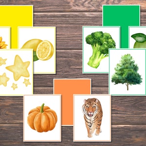 Montessori Color Sorting Printable Cards: Toddler's 11-color ...