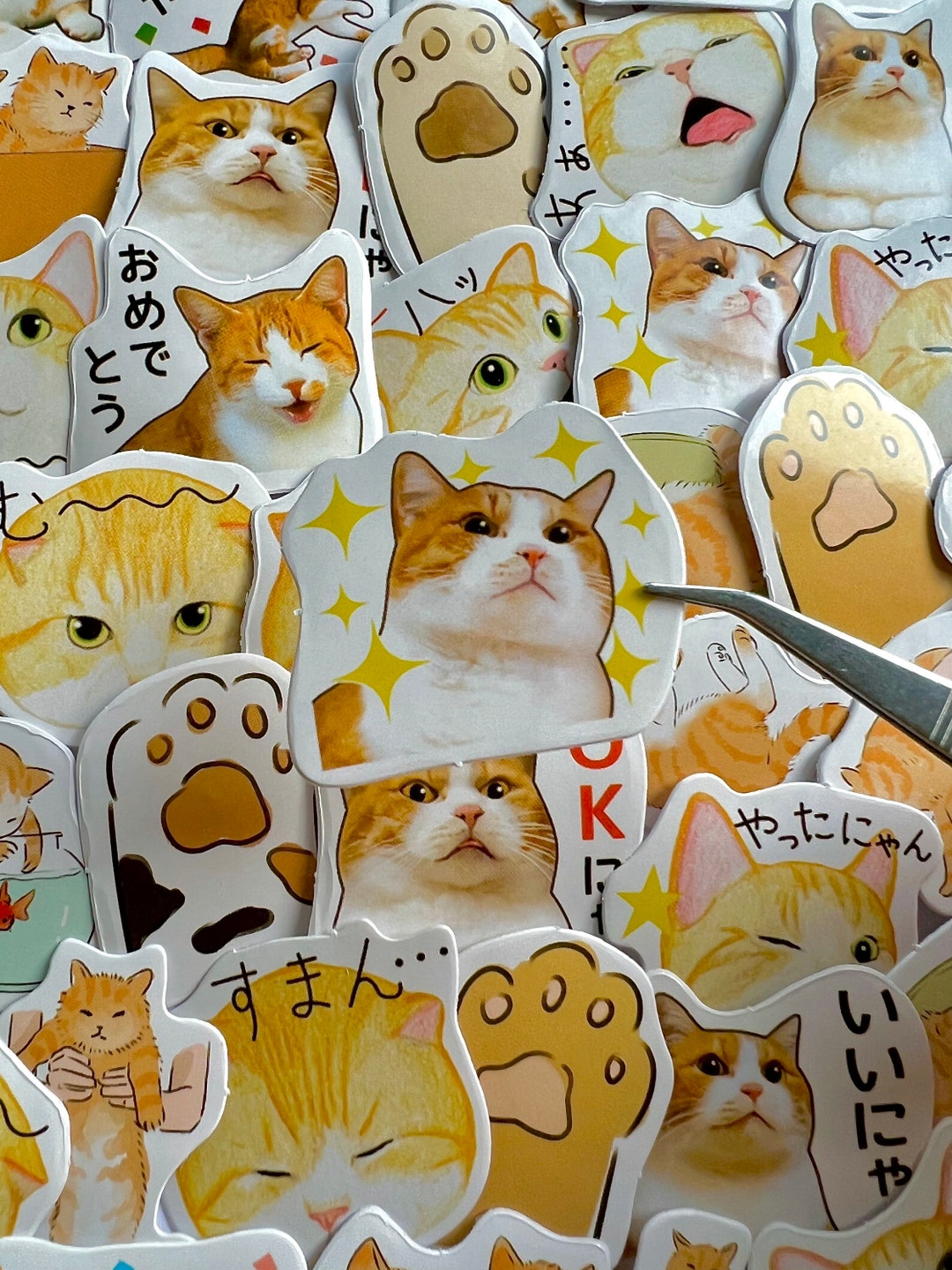 Cute Meme Cat Stickers/funny Cat Stickers/stationary/ Cute - Etsy