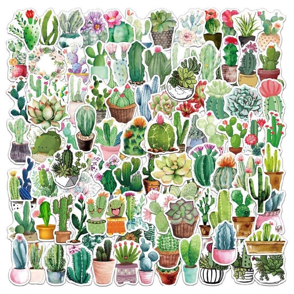 Cactus Stickers - Etsy