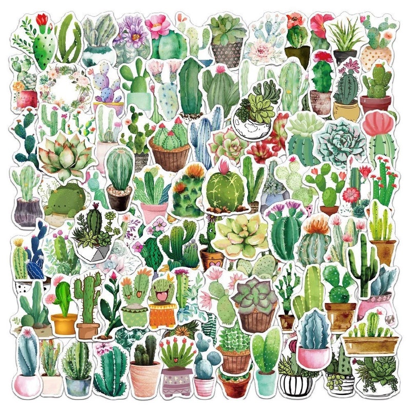 Cactus Stickers - Etsy