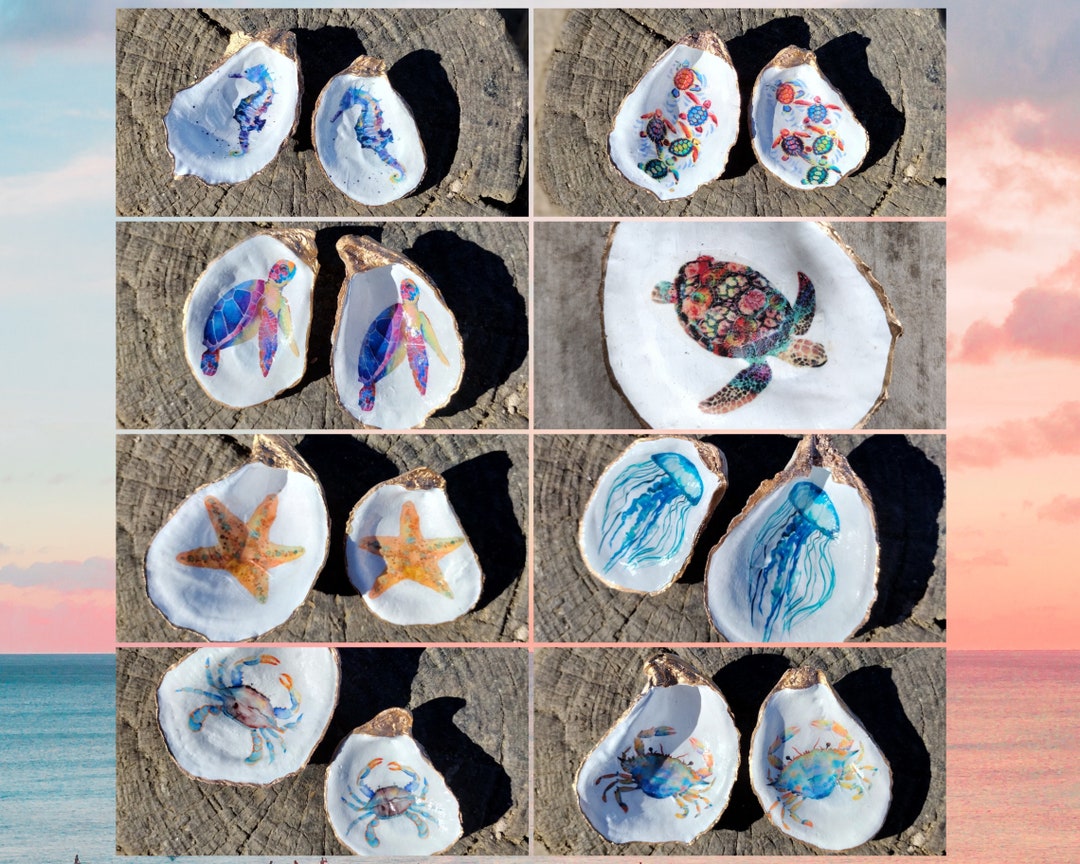 Sea Life Oyster Shell Magnet Coastal Refrigerator Magnet Shell Magnet ...