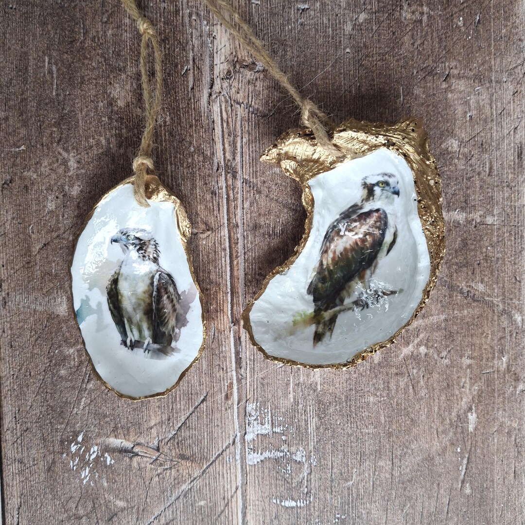 Osprey Oyster Shell Ornament: Coastal Christmas Decor - Etsy
