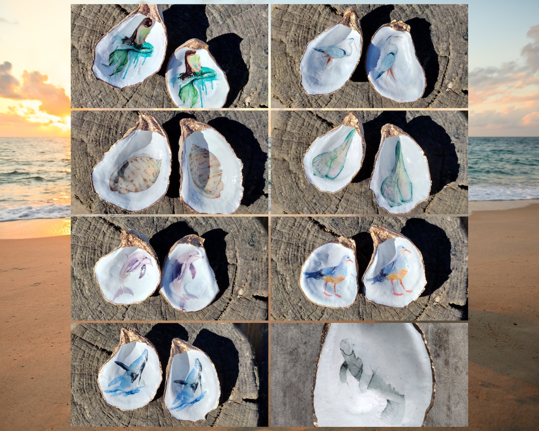 Coastal Life Oyster Shell Magnet | Coastal Refrigerator Magnet | Shell ...