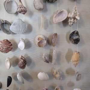 Driftwood & Sea Shell Mobile Driftwood and Shell Wall Hanging Window ...