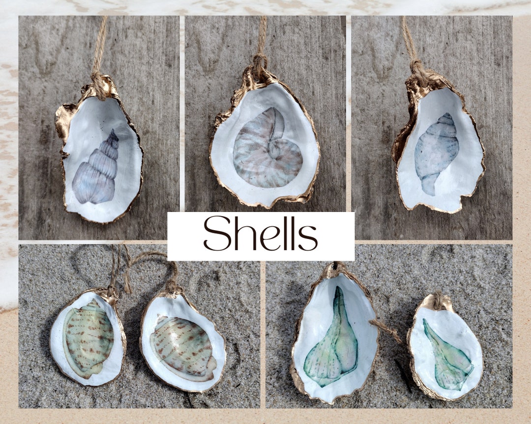 Oyster Shell Ornament | Watercolor Shell Gilded Seashell Ornament ...