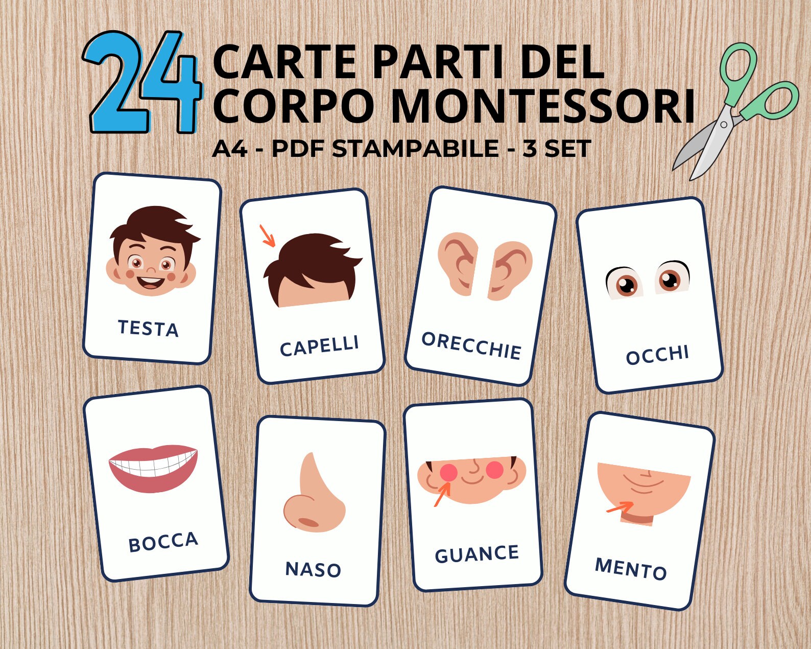 24 Montessori Body Parts Cards, Human Body Nomeclature Cards - Etsy