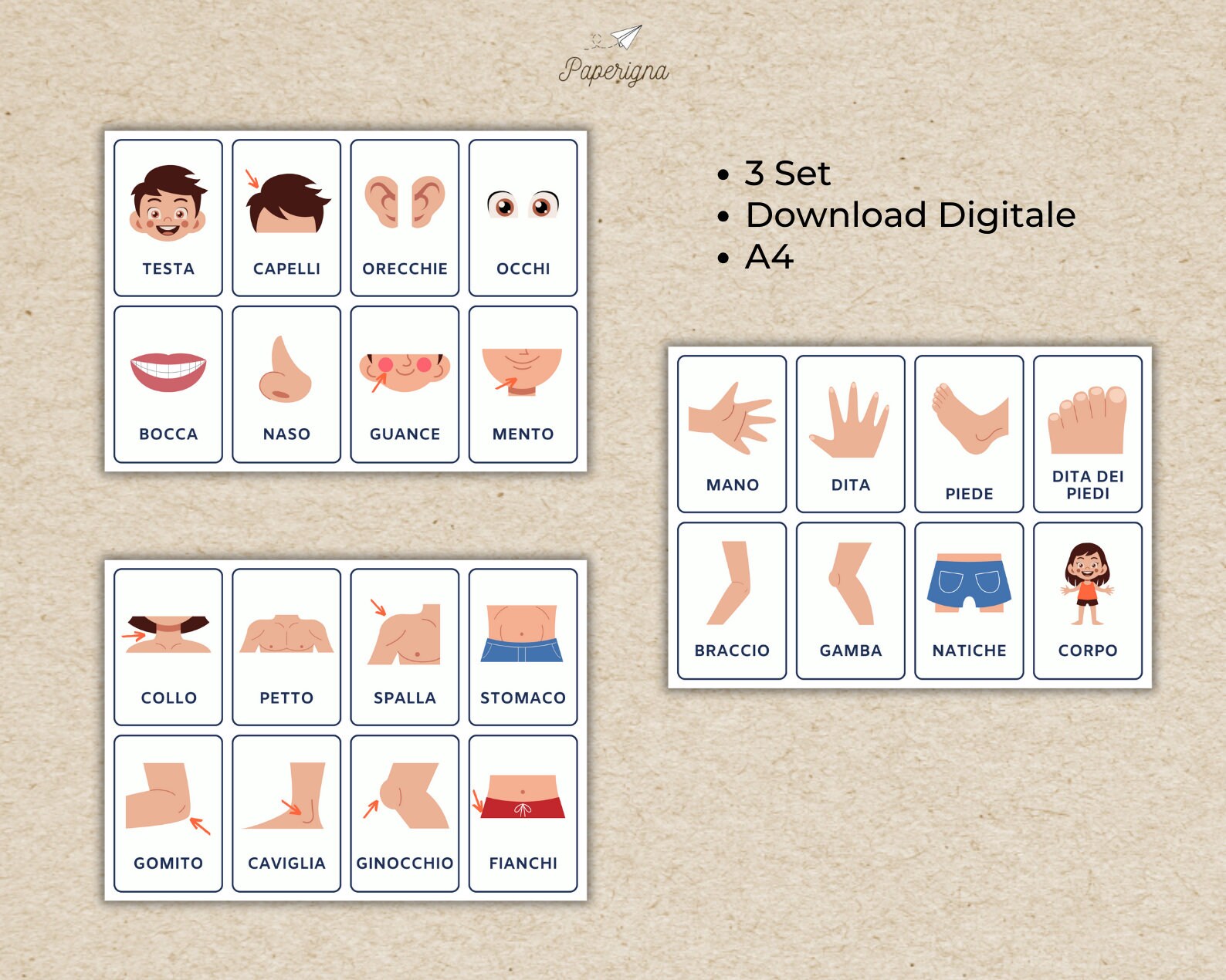 24 Montessori Body Parts Cards, Human Body Nomeclature Cards - Etsy