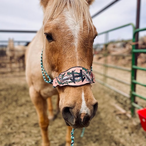 Custom Rope Halter With Lead Leather Bronc Noseband Hand - Etsy