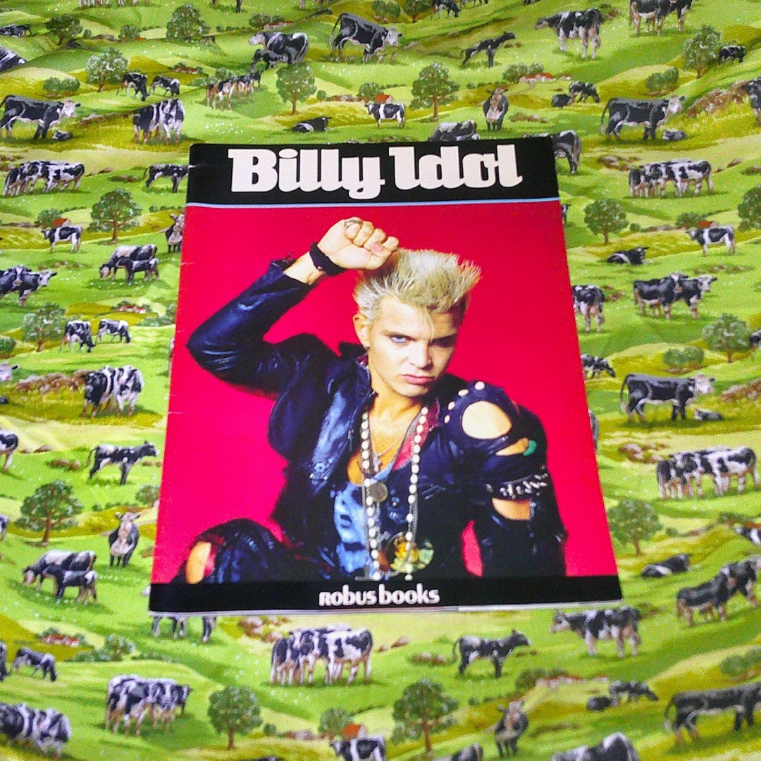 Rare Billy Idol Book Music Memorabilia Paperback Robus Books Includes ...