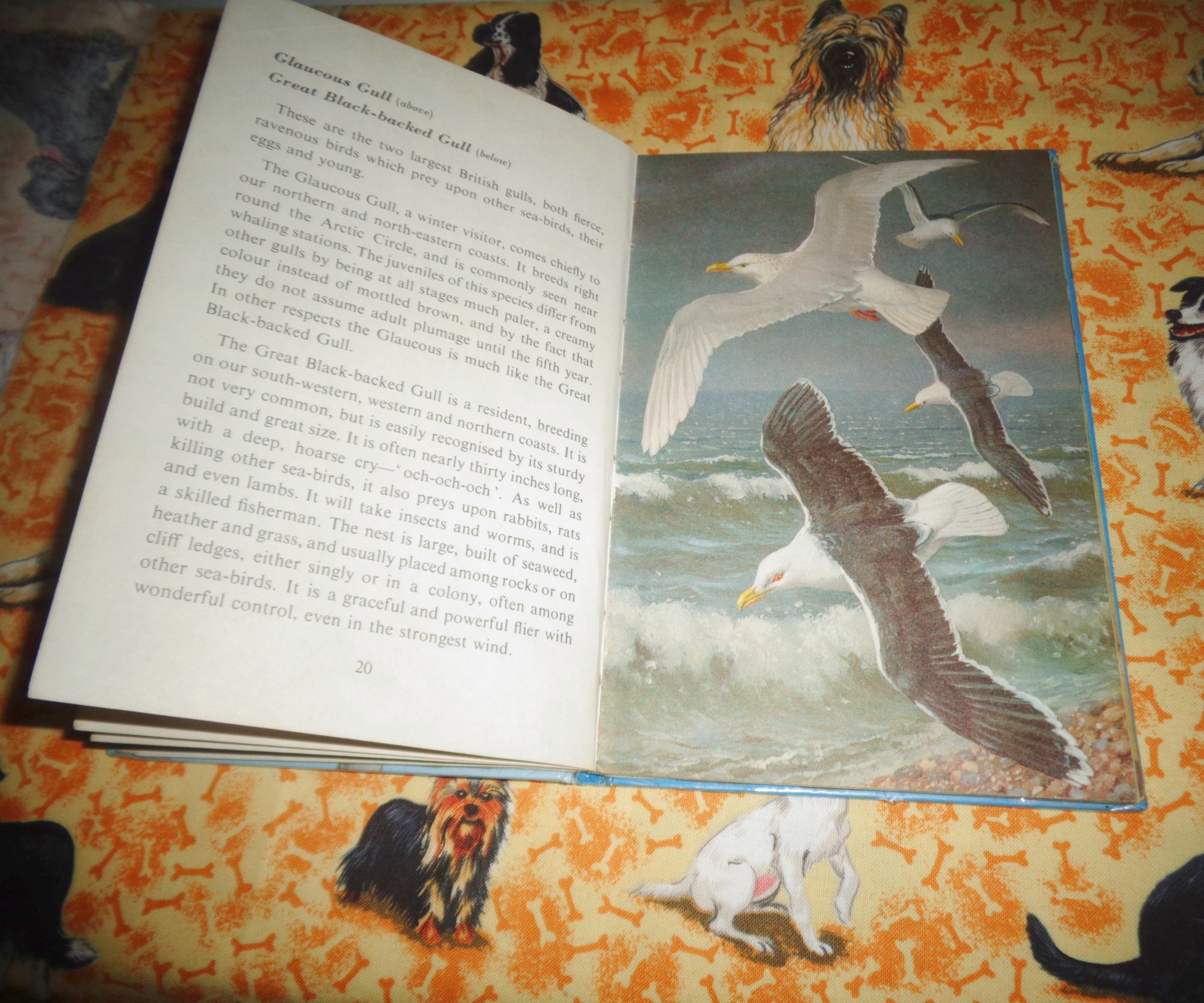 Vintage the Ladybird Book of Sea and Estuary Birds Children's Books ...