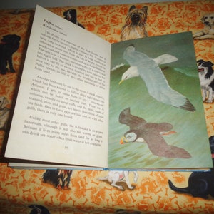 Vintage the Ladybird Book of Sea and Estuary Birds Children's Books ...