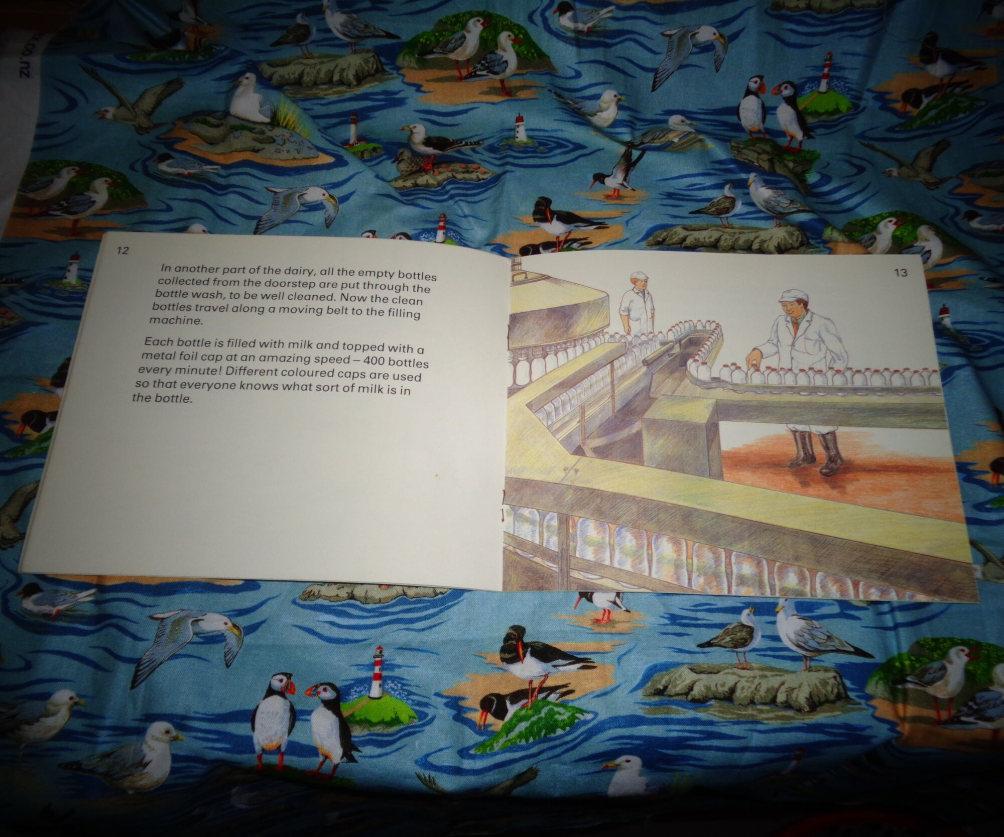 Rare on Your Doorstep Childrens Educational Book Series National Dairy ...