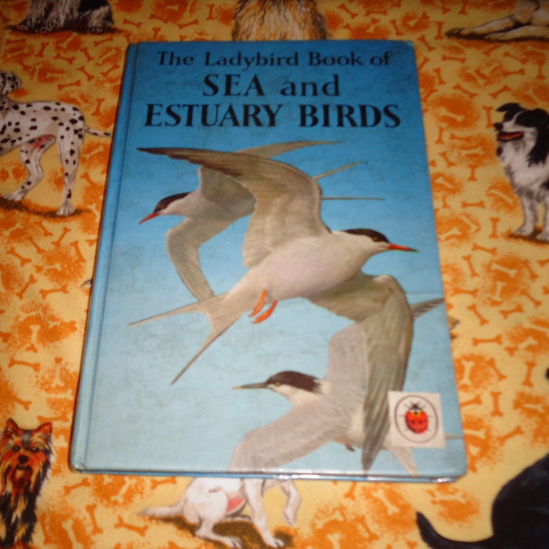 Vintage the Ladybird Book of Sea and Estuary Birds Children's Books Collectable Illustrated ...