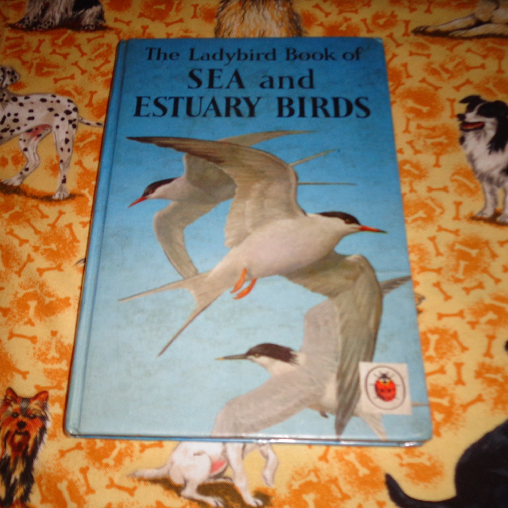 Vintage the Ladybird Book of Sea and Estuary Birds Children's Books ...