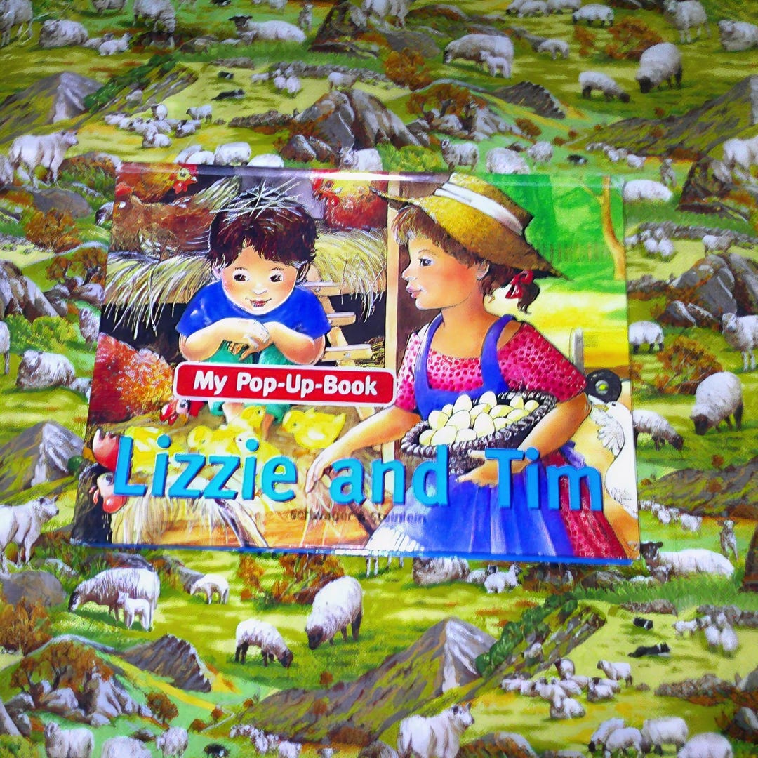 Vintage Lizzie and Tim Pop-up Book Collectable Memorabilia Hardback Colourful Illustrations ...