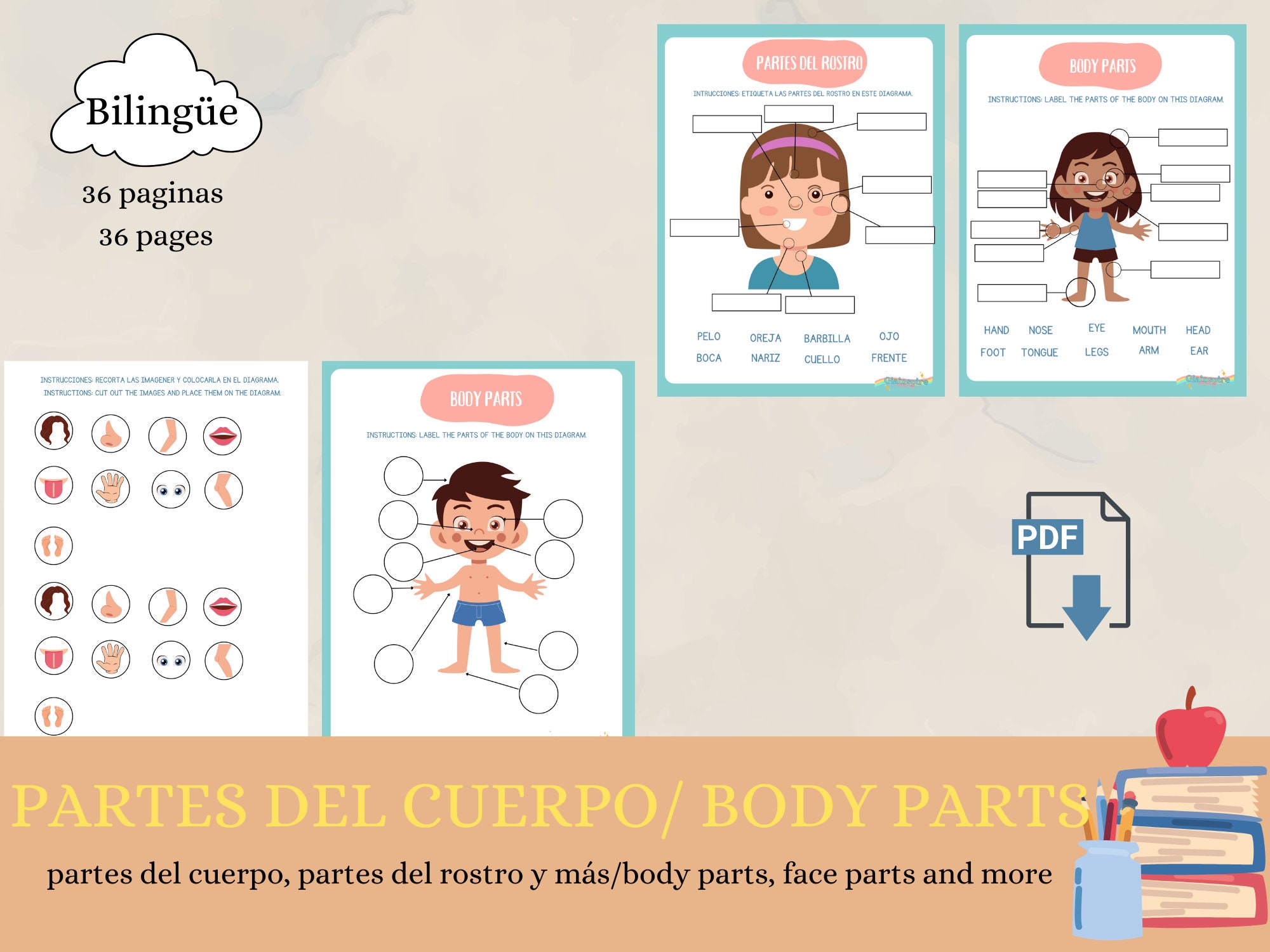 Spanish Body Parts Labeled