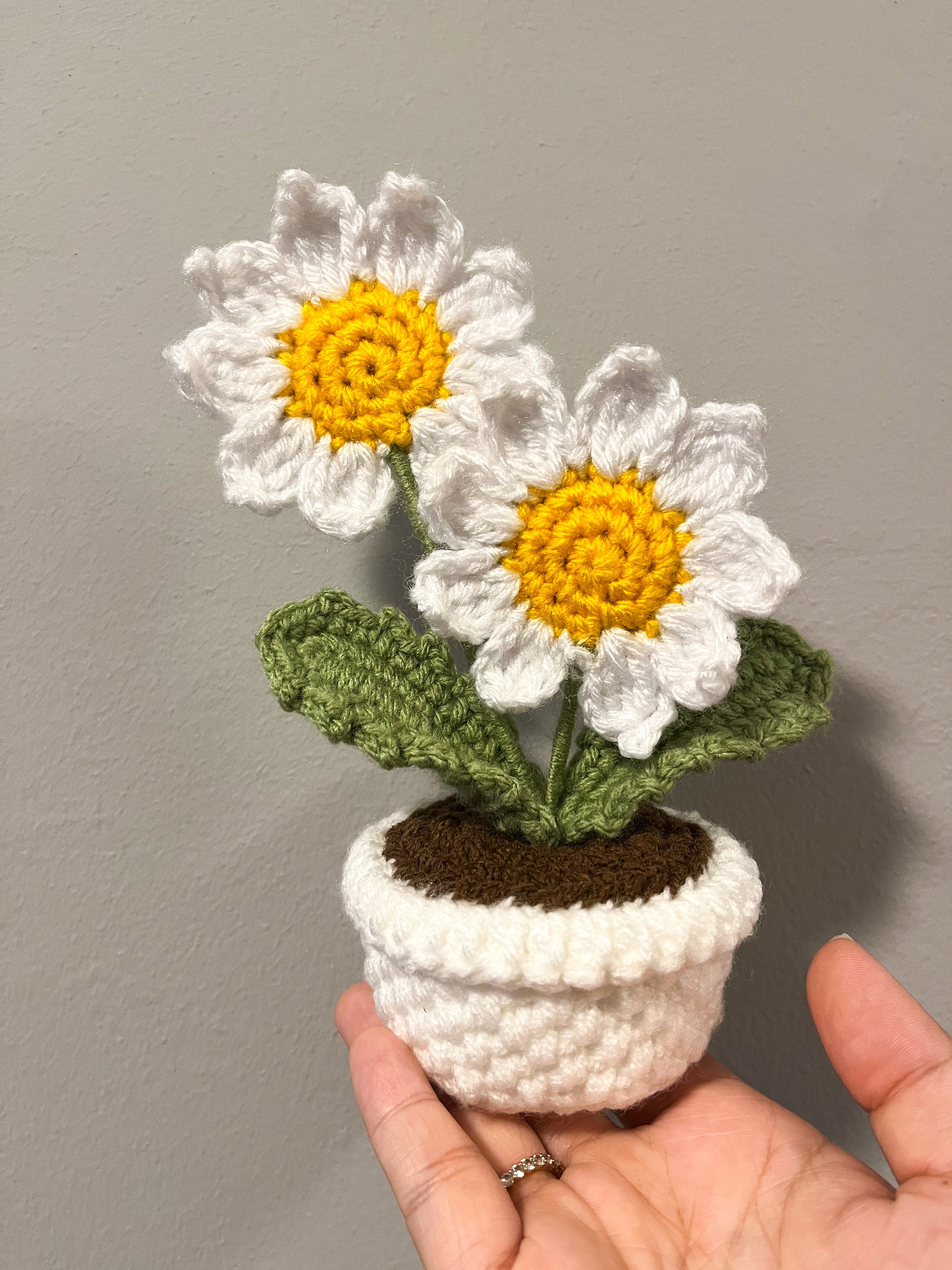 Crochet Daisies (in a Pot) - Etsy