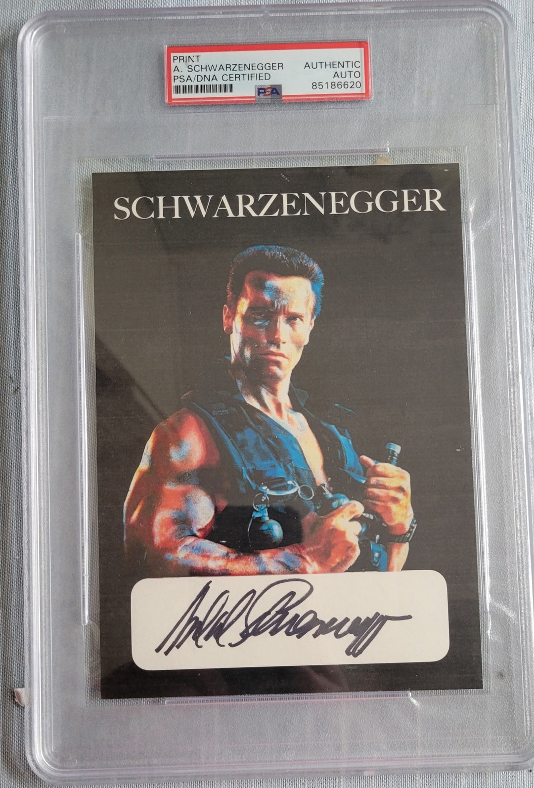 Arnold Schwarzenegger Signed Encapsulated 5x7 Commando Print PSA DNA - Etsy