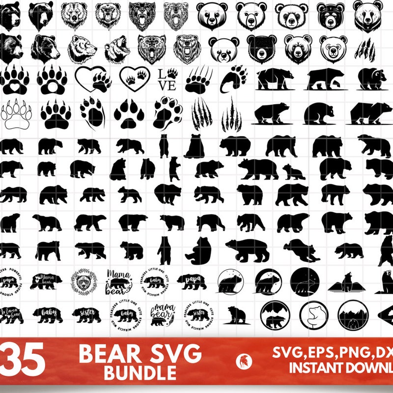 Bear Face Svg - Etsy