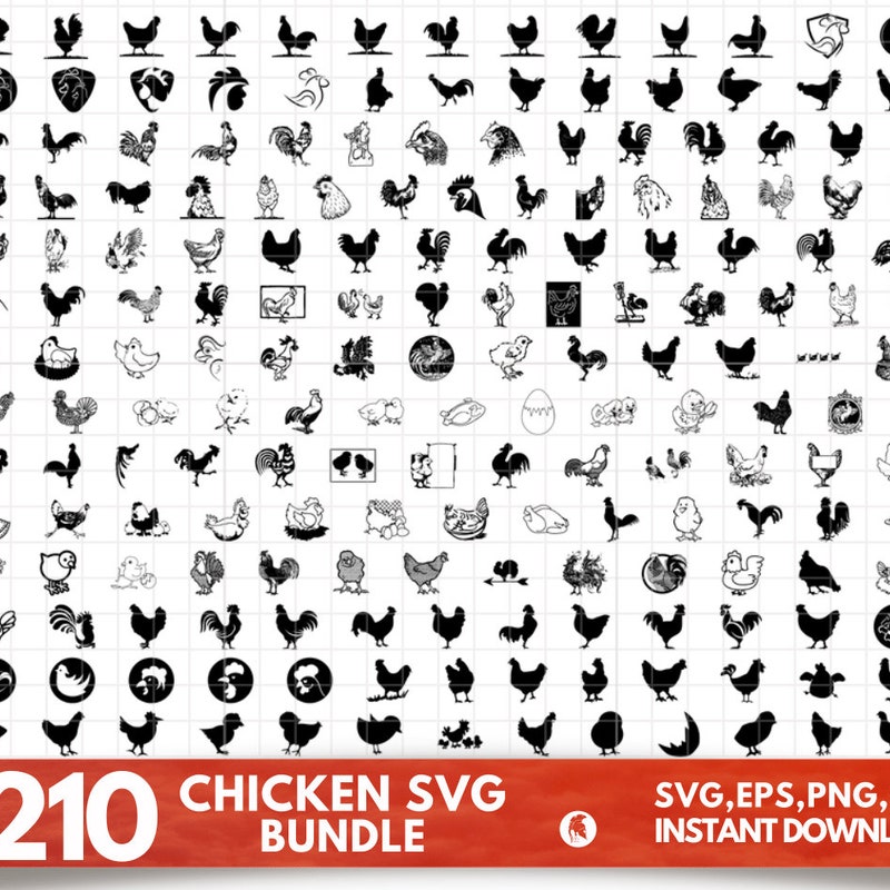 Chicken Svg - Etsy