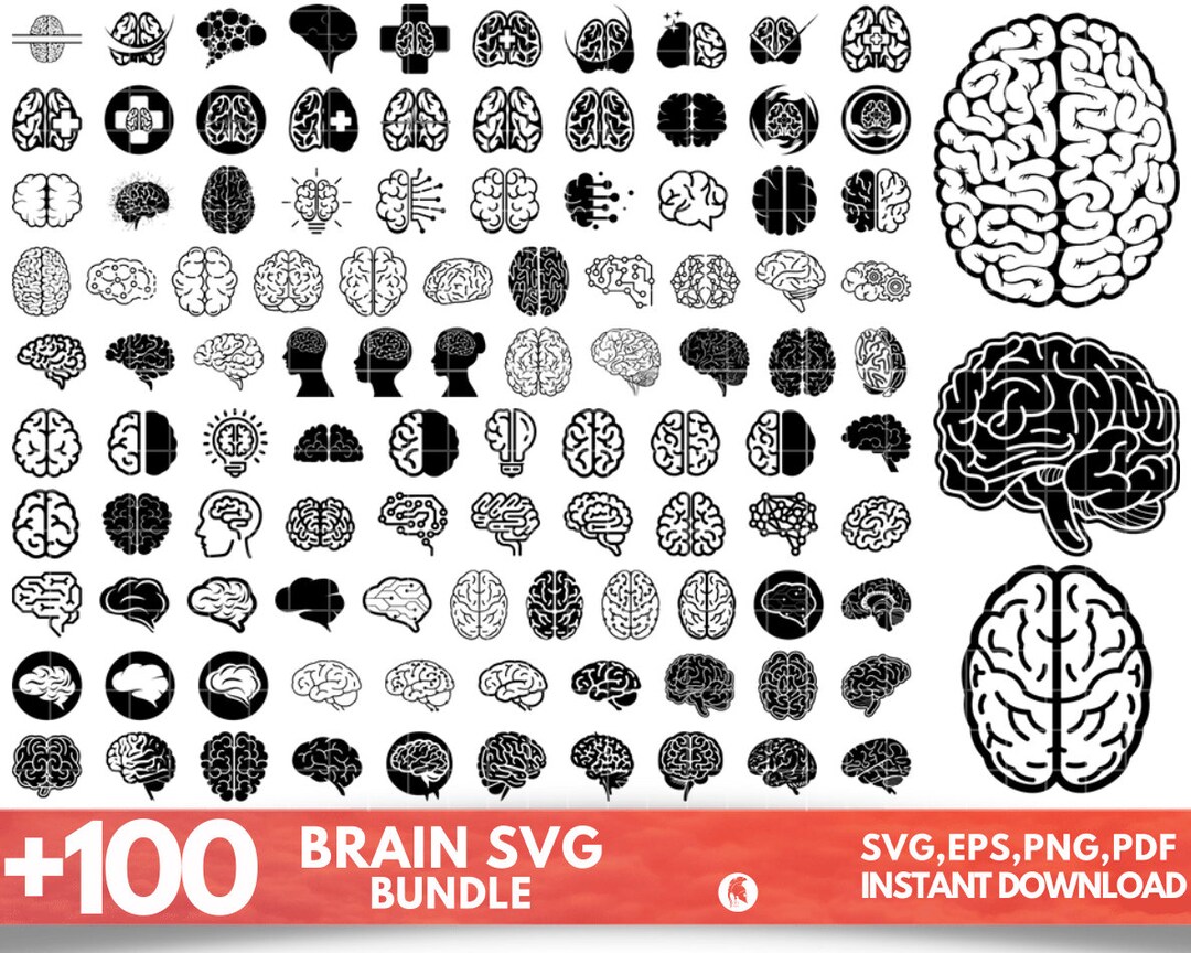 Brain SVG Bundle, Brain PNG Bundle, Brain Clipart, Brain SVG Cut Files ...