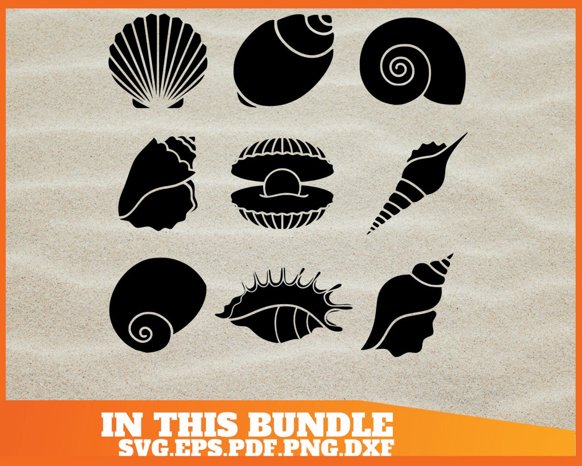 SEASHELL SVG / Seashells svg / Seashell svg datei / Ocean svg - Etsy.de