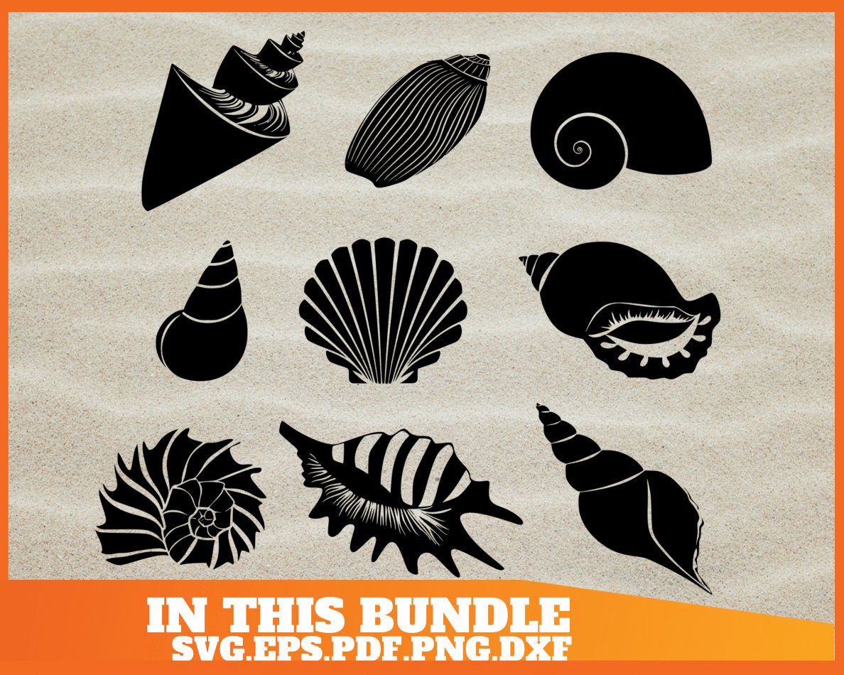 SEASHELL SVG / Seashells svg / Seashell svg datei / Ocean svg - Etsy.de