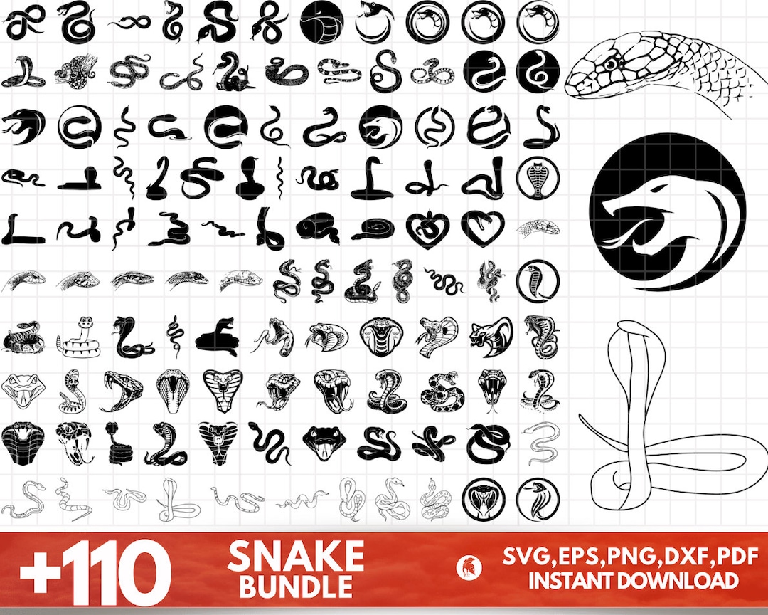 Snake SVG Bundle, Snake PNG Bundle, Floral Snake Svg, Snake Clipart ...
