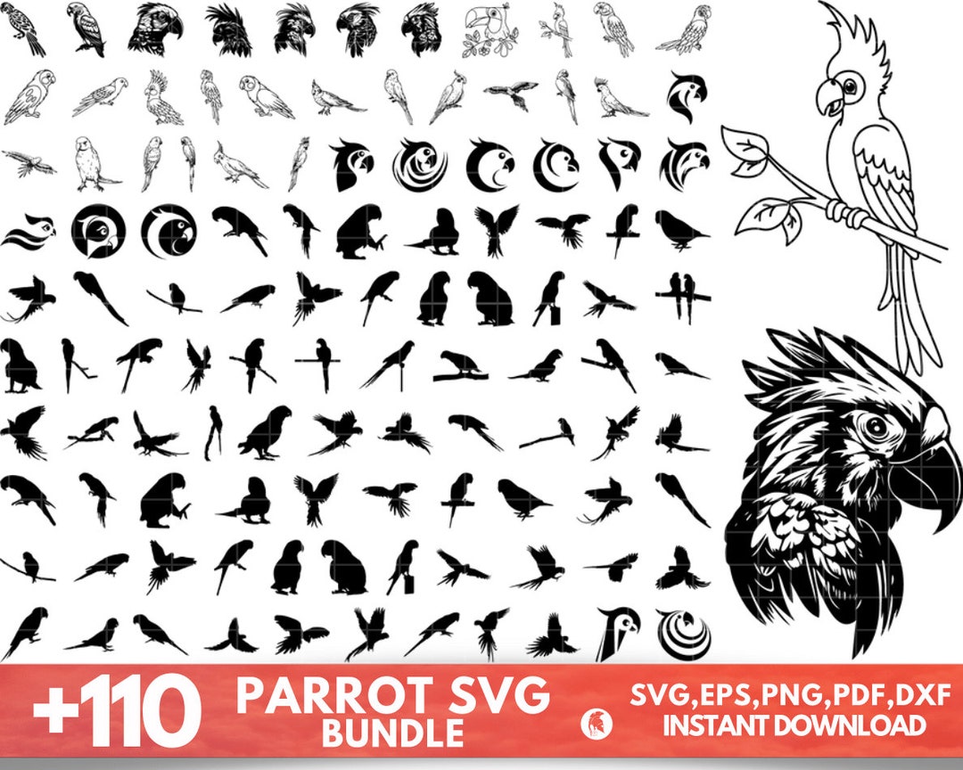 110 Parrot Svg, Parrot Svg Cut Files, Parrot Svg Bundle, Parrot Clipart ...
