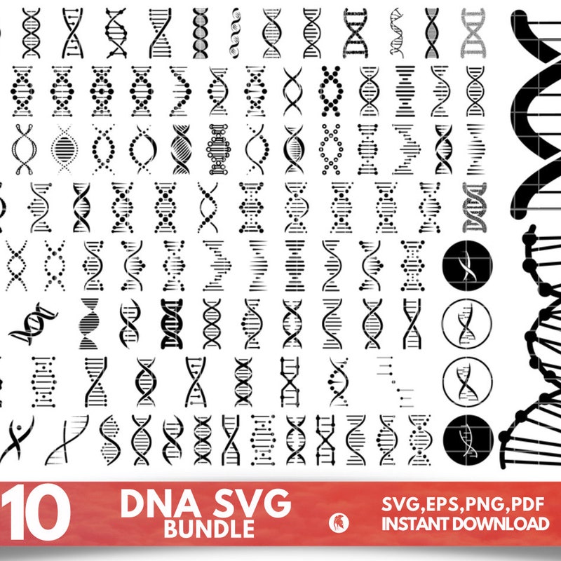 Dna - Etsy